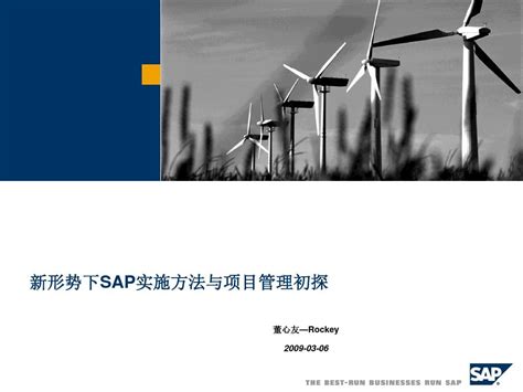 新形势下sap项目管理初探word文档免费下载亿佰文档网