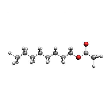 Octyl Acetate