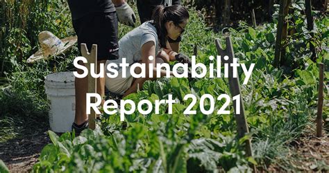 Just Released Ecowares Sustainability Report 2021