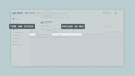 Payload Tab In The Things Network Console