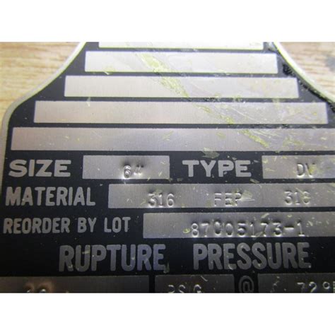 Bsandb Safety Systems 87005173 1 Rupture Disk Pack Of 2 Mara Industrial