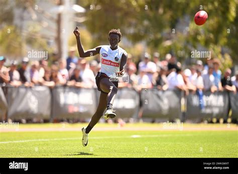 Melbourne Australia 21st Feb 2024 Tew Jiath Of Collingwood Kicks