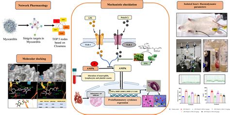 Phytotherapy Research Medicinal Chemistry Journal Wiley Online Library