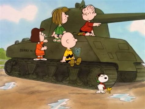 Image What Have We Learned Charlie Brown 24 Peanuts Wiki