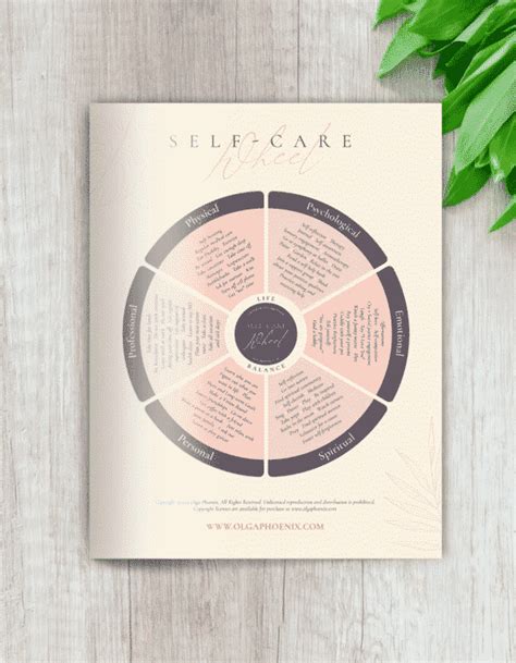 Self Care Wheel Worlds 1 Self Care Tool Olga Phoenix