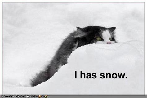 Snow Go Away Funny Quotes Quotesgram