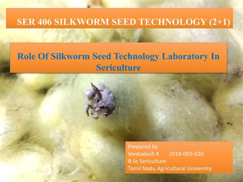 Silkworm Seed Technology Laboratory Pptx