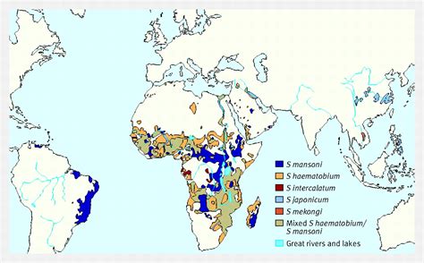 Schistosomiasis Map