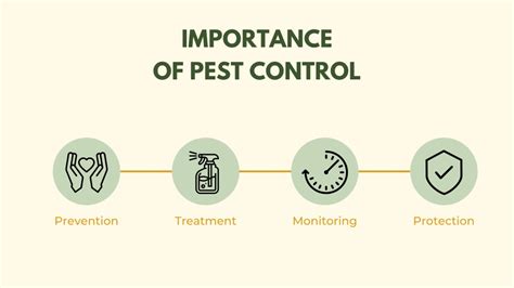 Ppt Swift And Effective Pest Control Colchester Solutions North