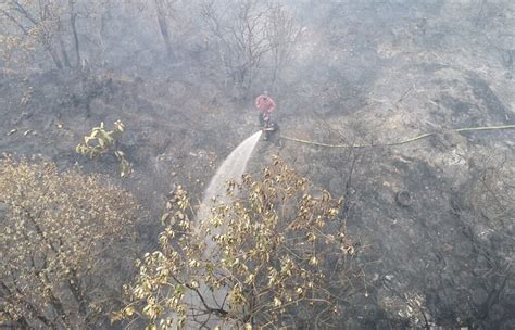 CdMx En Tlalpan se reactiva incendio en reserva ecológica Grupo Milenio