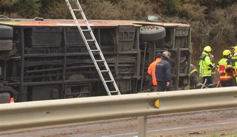 Conductor De Bus Que Se Volcó En La Araucanía Será Formalizado Por