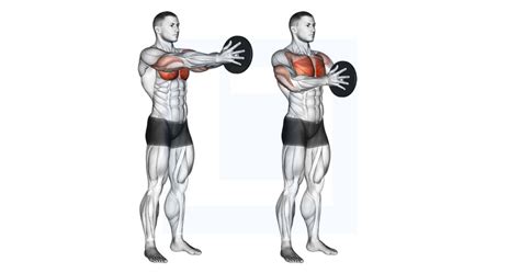 Isometric Chest Squeeze Guide Benefits And Form