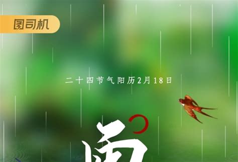 雨水节气海报在线编辑 雨水节气绿色清新手机海报 图司机