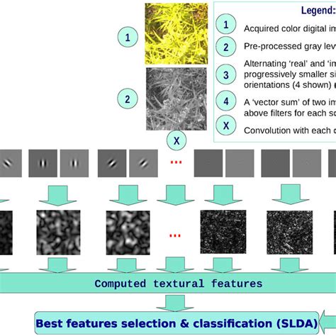 Illustration Of The Gabor Wavelet Based Classification Procedure