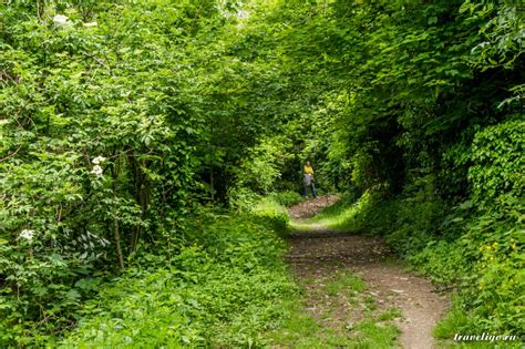 Базилика Суперга, Турин, Италия - достопримечательности и фото.