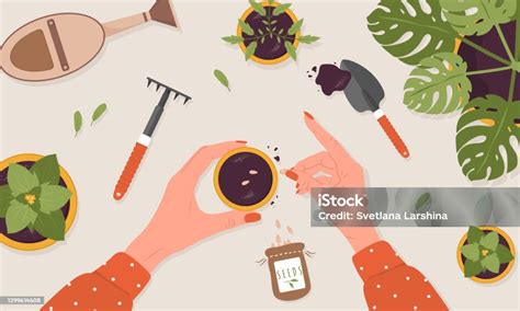 봄 묘목 여자는 땅에 씨앗을 심는다 상단에서 보기입니다 플랫 만화 스타일의 벡터 일러스트레이션 국산 오렌지와 케어 컨셉 원예 취미 식물에 대한 스톡 벡터 아트 및 기타