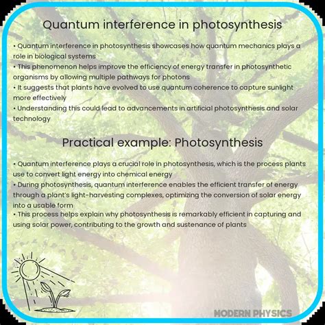Quantum Interference In Photosynthesis Enhancing Energy Transport And Efficiency