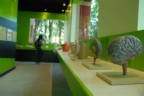 UFMG Universidade Federal de Minas Gerais Museu de História Natural