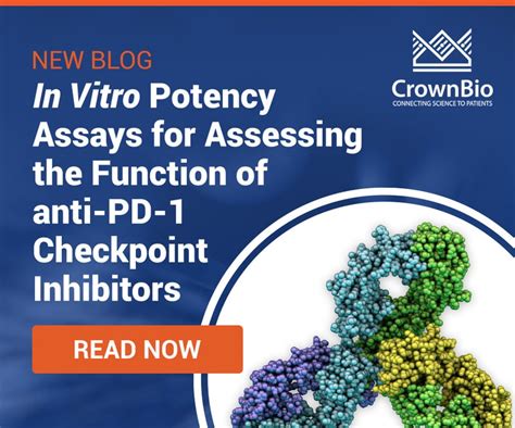 Advancing Precision Medicine In Vitro Potency Assays For Evaluating