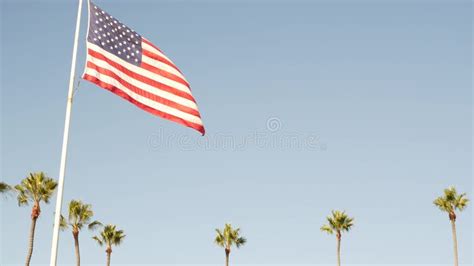 Palms And American Flag Los Angeles California USA Summertime