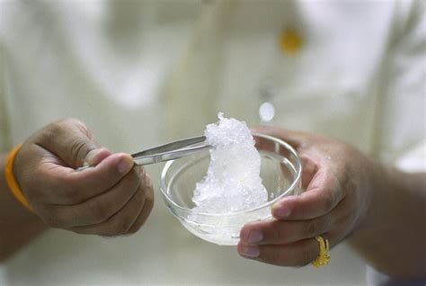 Understanding Moche Skeleton Sex Pots Sapiens