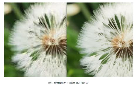 图片超分辨率技术diffbir图片放大四倍更清晰 知乎