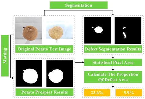 Evaluation Method Of Potato Storage External Defects Based On Improved U Net