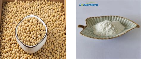 Is Stigmasterol 95 Natures Secret Weapon Against Cholesterol