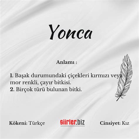 Yonca İsminin Anlamı Nedir Siirlerbiz