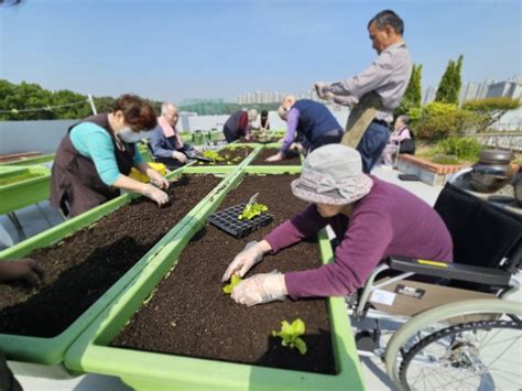 5월 고양시 농업기술센터와 함께하는 원예치유 프로그램 텃밭 꾸미기 어르신 활동모습 일산휴요양원