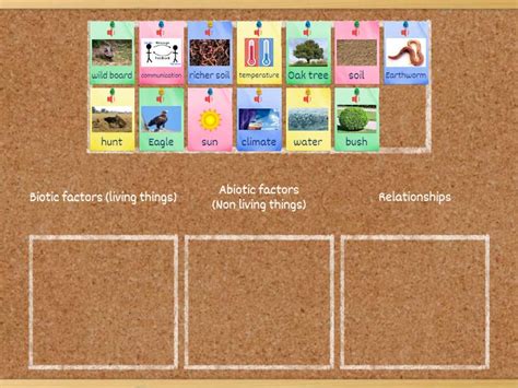 Ecosystem Components Group Sort