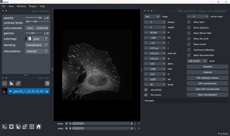 No Stack Selector Dropdown Showing · Issue 15 · Andreabassi78napari Sim Processor · Github