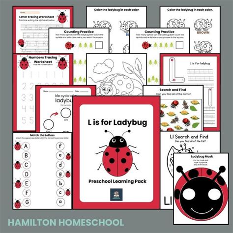 Matching Pre K Sheets Etsy