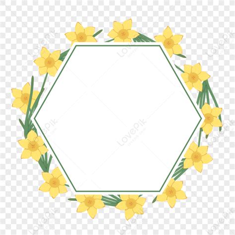 수채화 수 선화 꽃 일러스트 테두리 아름다운 일러스트잎축하식물의 Png 일러스트 무료 다운로드 Lovepik