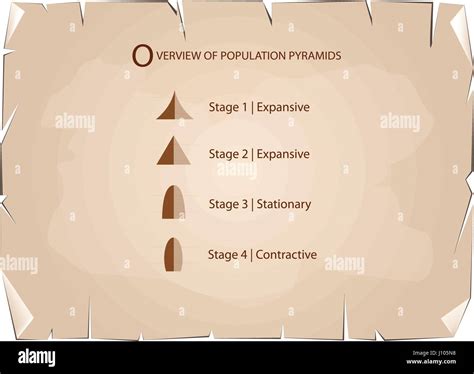 Population Et Démographie Illustration Ensemble De 5 Types De