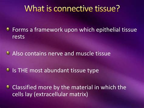 PPT Connective Tissue PowerPoint Presentation Free Download ID 2356859
