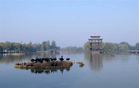 台儿庄运河国家湿地公园：生态人文并重，让京杭大运河焕发新生机德州新闻网