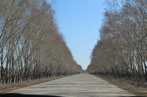 2025四排赫哲族风情园游玩攻略四排乡 赫哲 风情园 尚未营业【去哪儿攻略】