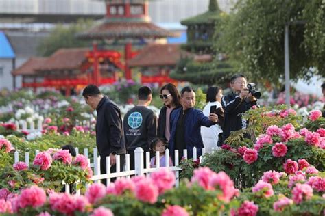 组图｜世界牡丹大会开幕，快来菏泽看牡丹菏泽市新浪财经新浪网