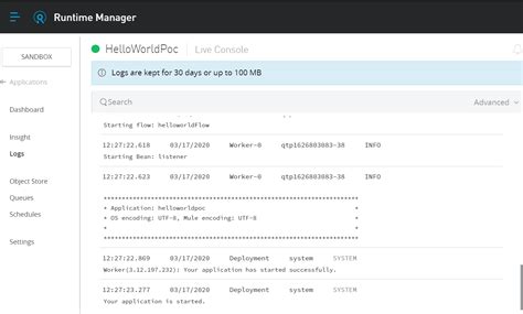 Manually Deploy On Cloudhub Mulesoft Deployment