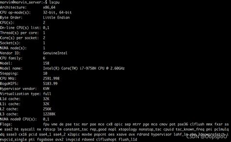 操作系统基础——linux操作系统简介第1关了解你的linux系统计算机csdn Csdn博客
