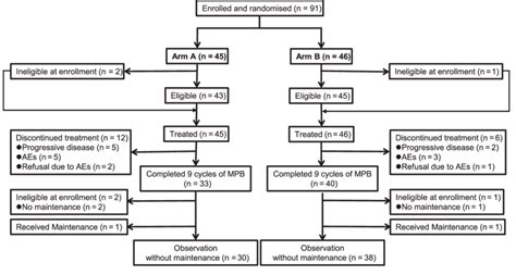 Consort Diagram Flow Diagram Of Randomisation Procedure Of Patients