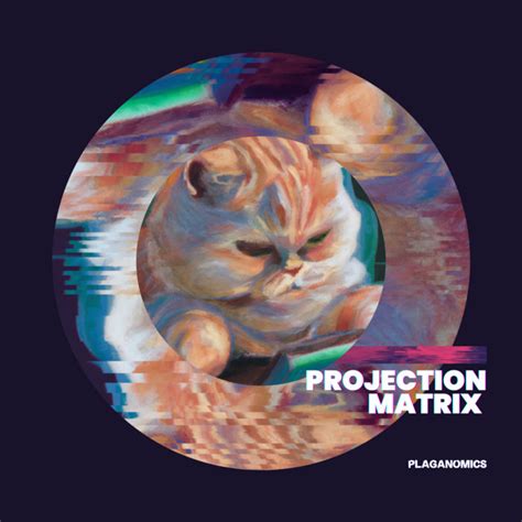 Projection Matrix Plaganomics