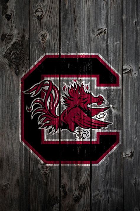 15 Best Gamecock Memes Images On Pinterest Carolina Girls Gamecock