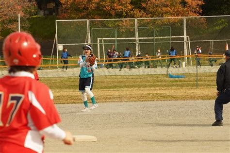 すこやかハイエルデストソフトボール親善神奈川大会