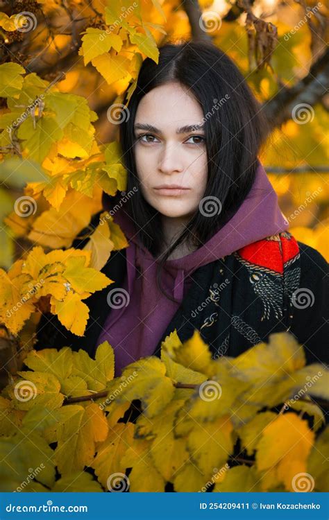 Portrait Of An Attractive Dark Haired Girl In The Leaves Stock Image