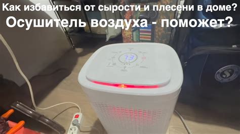 Осушитель воздуха: Устраняем сырость и плесень в доме. Как избавиться ...