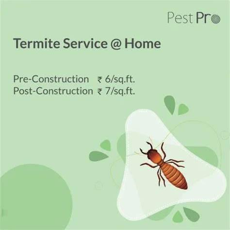 Pre And Post Construction Termite Treatment Services At ₹ 6square Feet