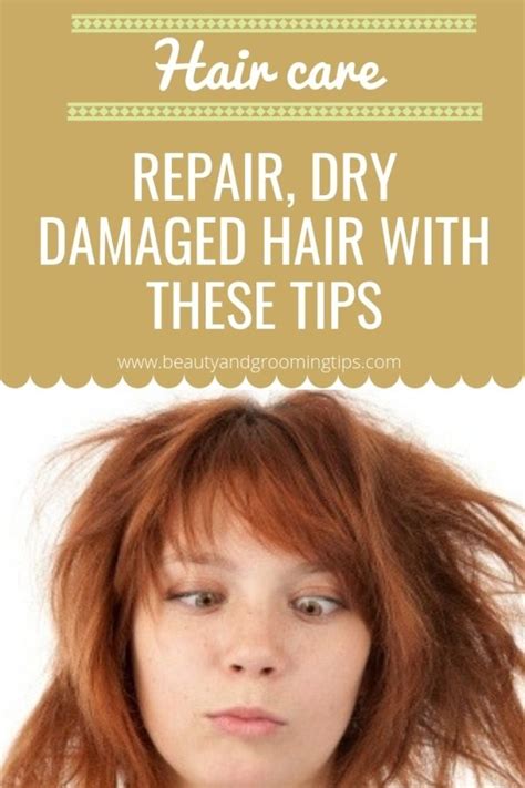 Repairing Dry Damaged Hair Beauty And Personal Grooming
