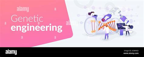 Genetic Engineering Concept Banner Header Stock Vector Image And Art Alamy